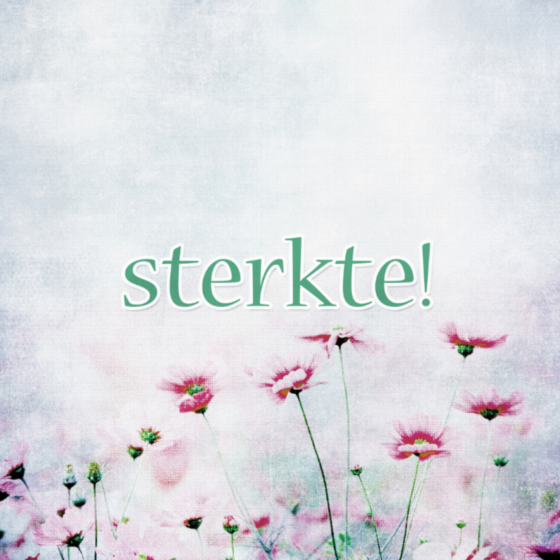 Sterkte kaart - Originele sterkte kaartjes | Kaartje2go