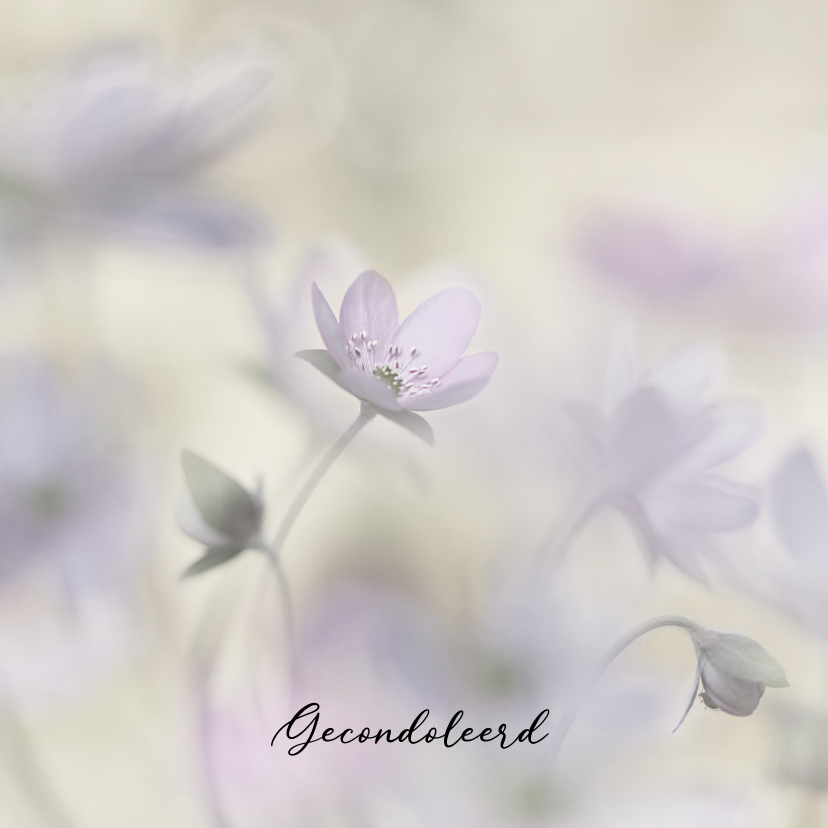 Condoleance kaart - Condoleancekaart maken | Kaartje2go