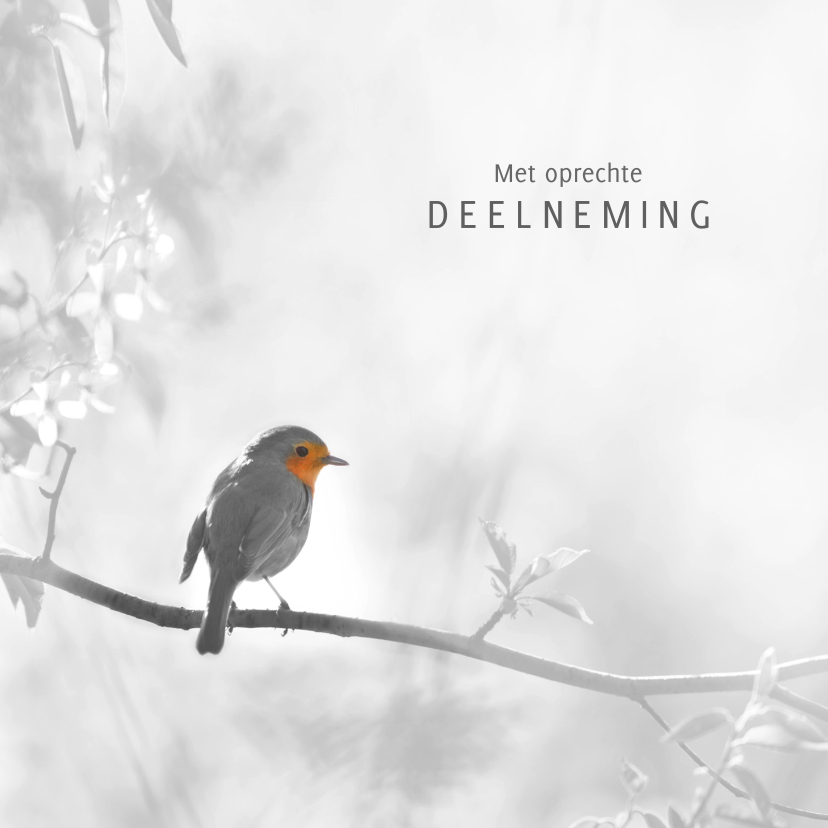 Condoleance kaart - Condoleancekaart maken | Kaartje2go