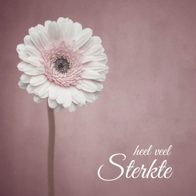 Condoleance kaart - Condoleancekaart maken | Kaartje2go