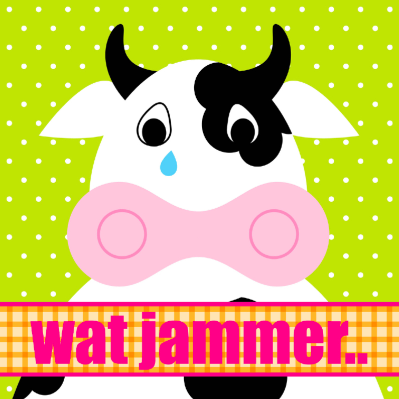 Johan en Ine: Jammer!