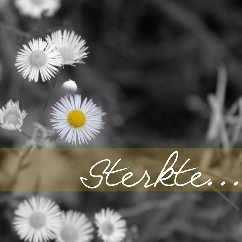 Zeg maar Yes • Een jaar geleden